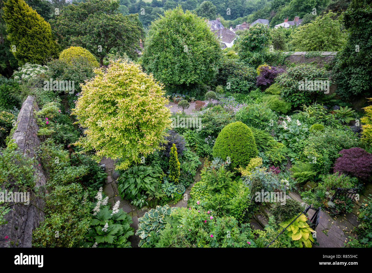 Lush green garden hi-res stock photography and images - Alamy