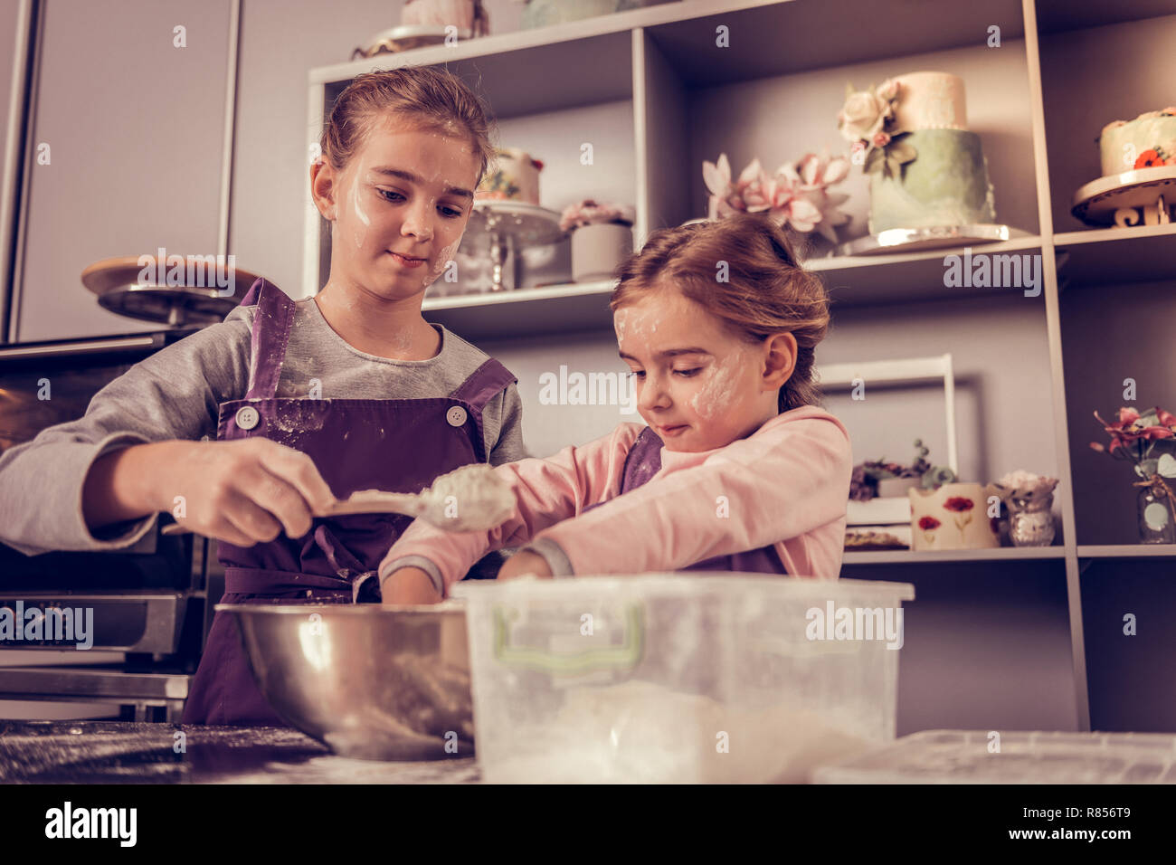 Best cooks. Pleasant smart girls standing together at the table while ...