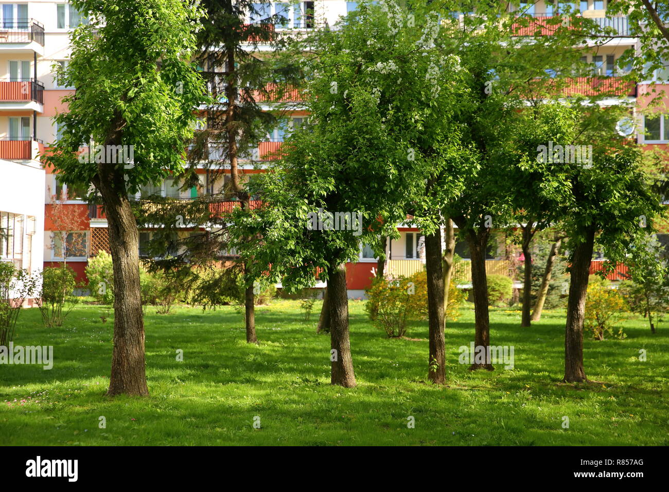 A city square on a green lawn amidst high-rise residential buildings ...