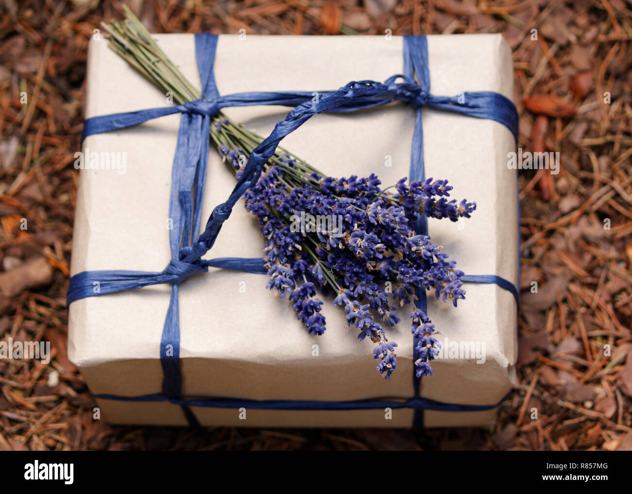 Craft paper present box tied from blue rope Stock Photo - Alamy