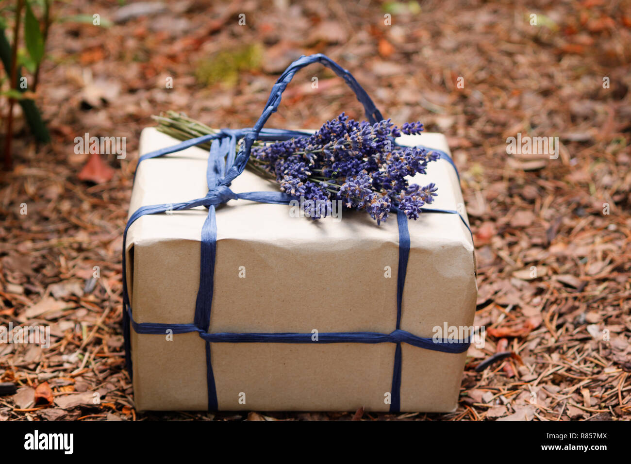 Craft paper present box tied from blue rope Stock Photo - Alamy
