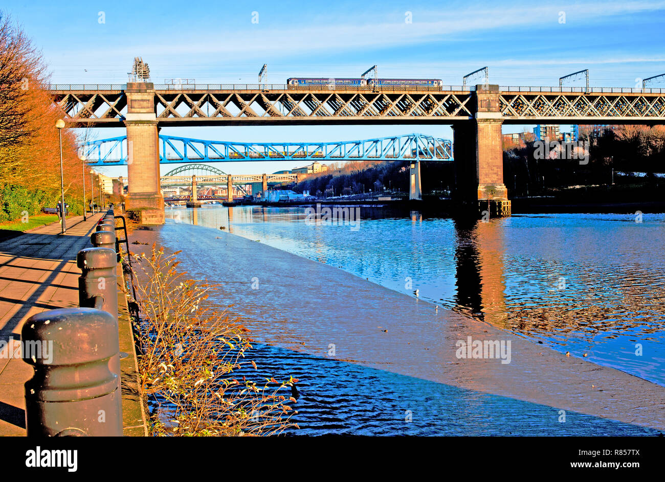 Trains over King Edward Bridge and Metro Rail Bridge, Newcastle upon ...