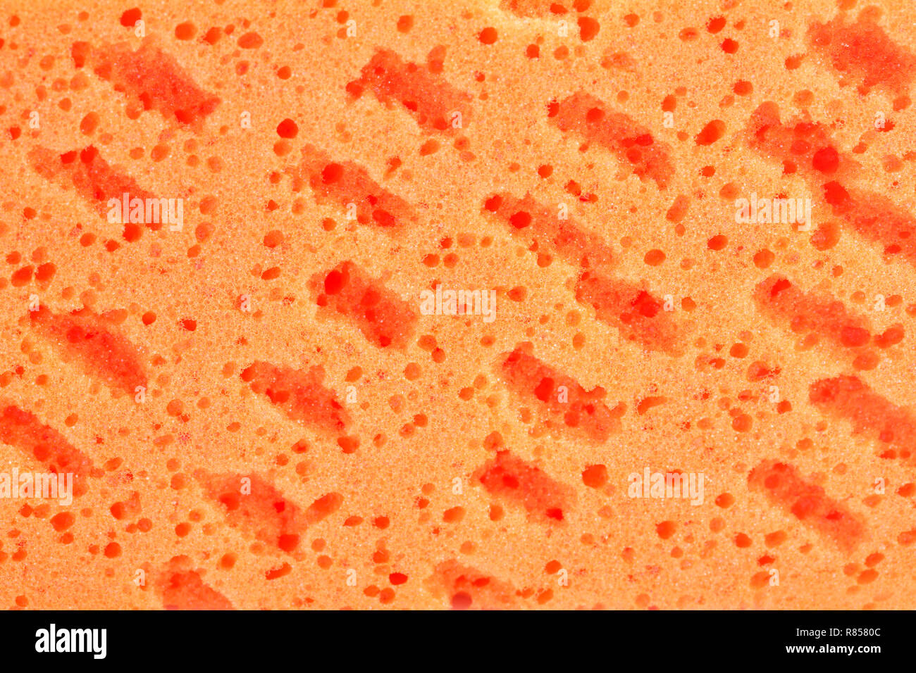 Sponge texture closeup picture, using as background Stock Photo - Alamy