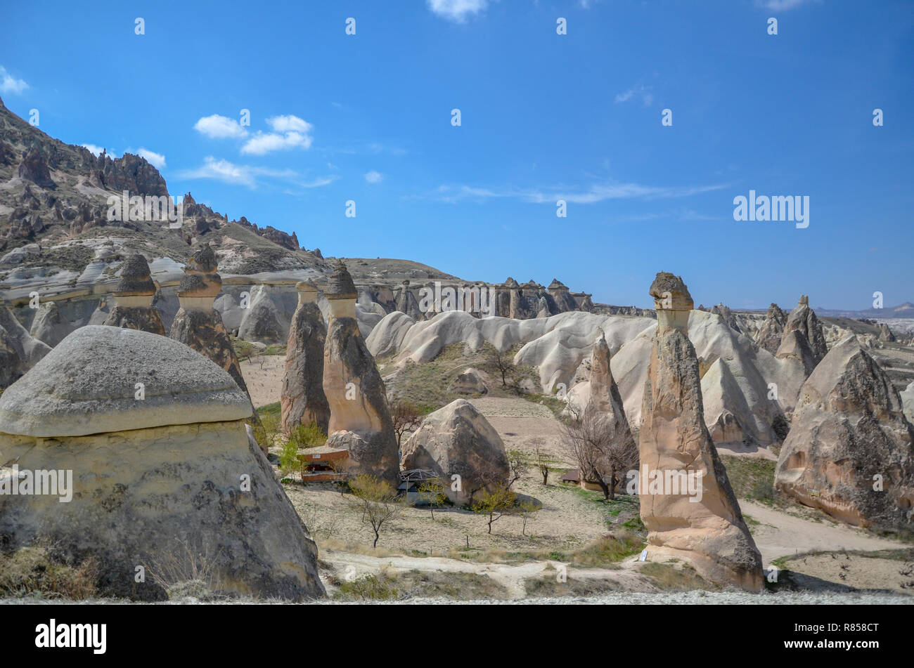Cappadocia fairy chimneys in the canyon near Cavusin village, nevsehir ...