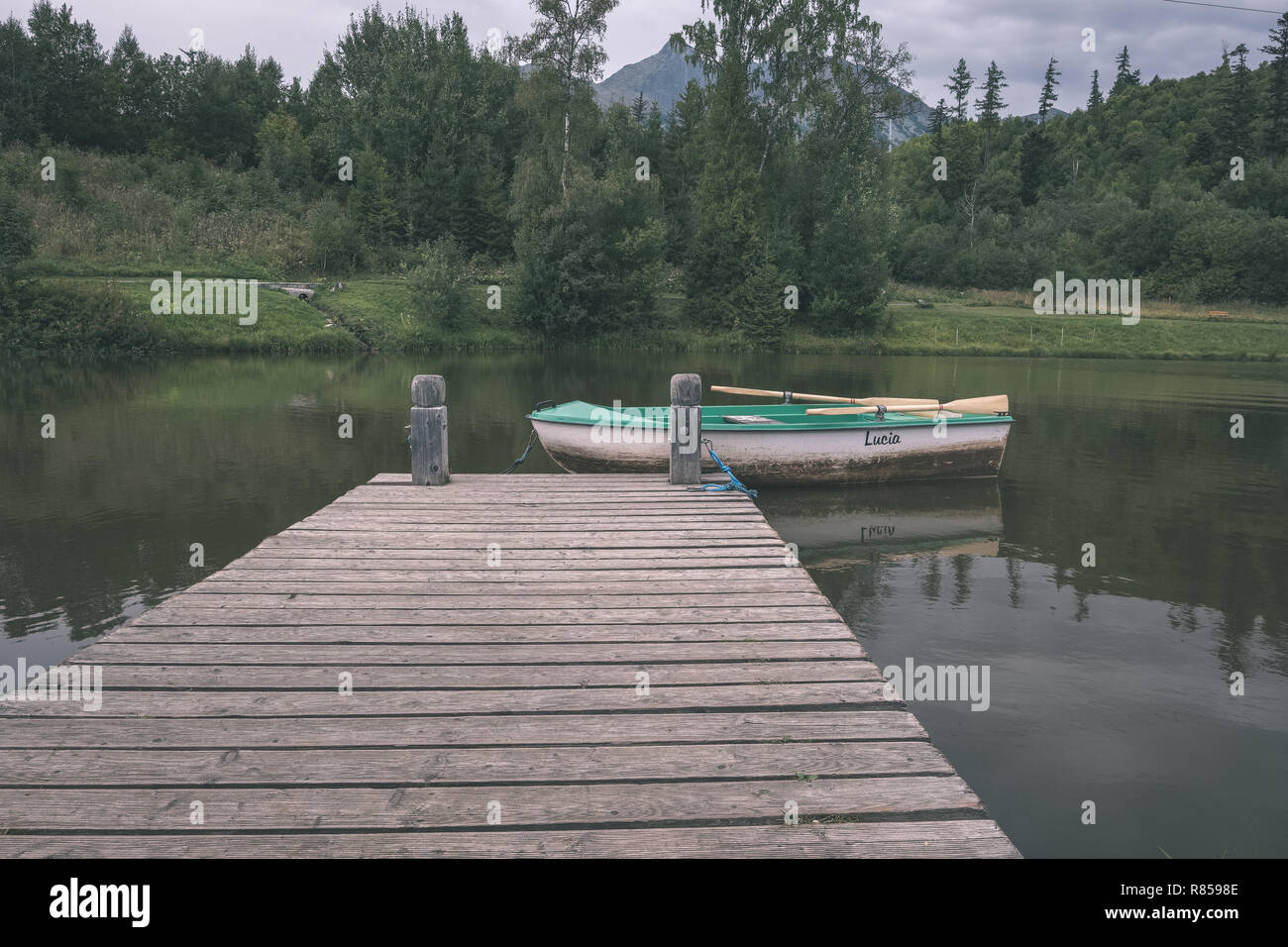 wooden and composite material foot bridge over water in green summer ...