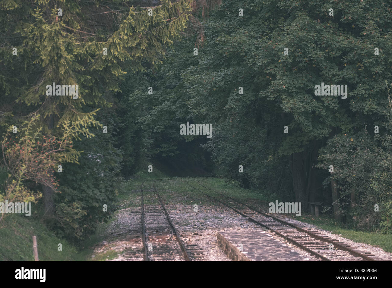 ancient log wood railway and train on the tracks. tourist attraction ...