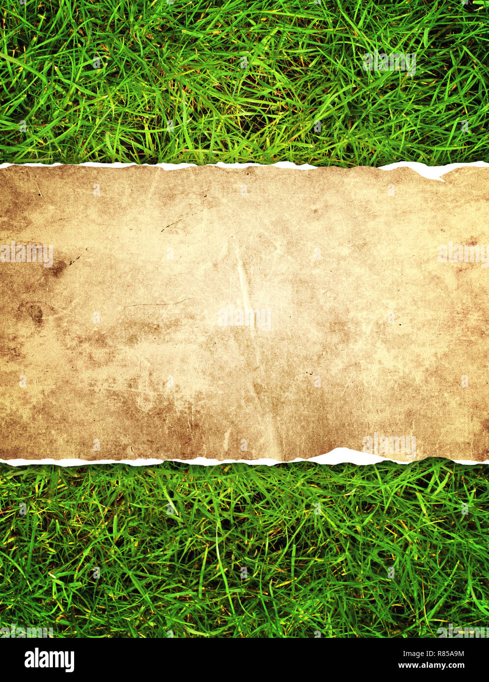 Green grass and old paper Stock Photo - Alamy
