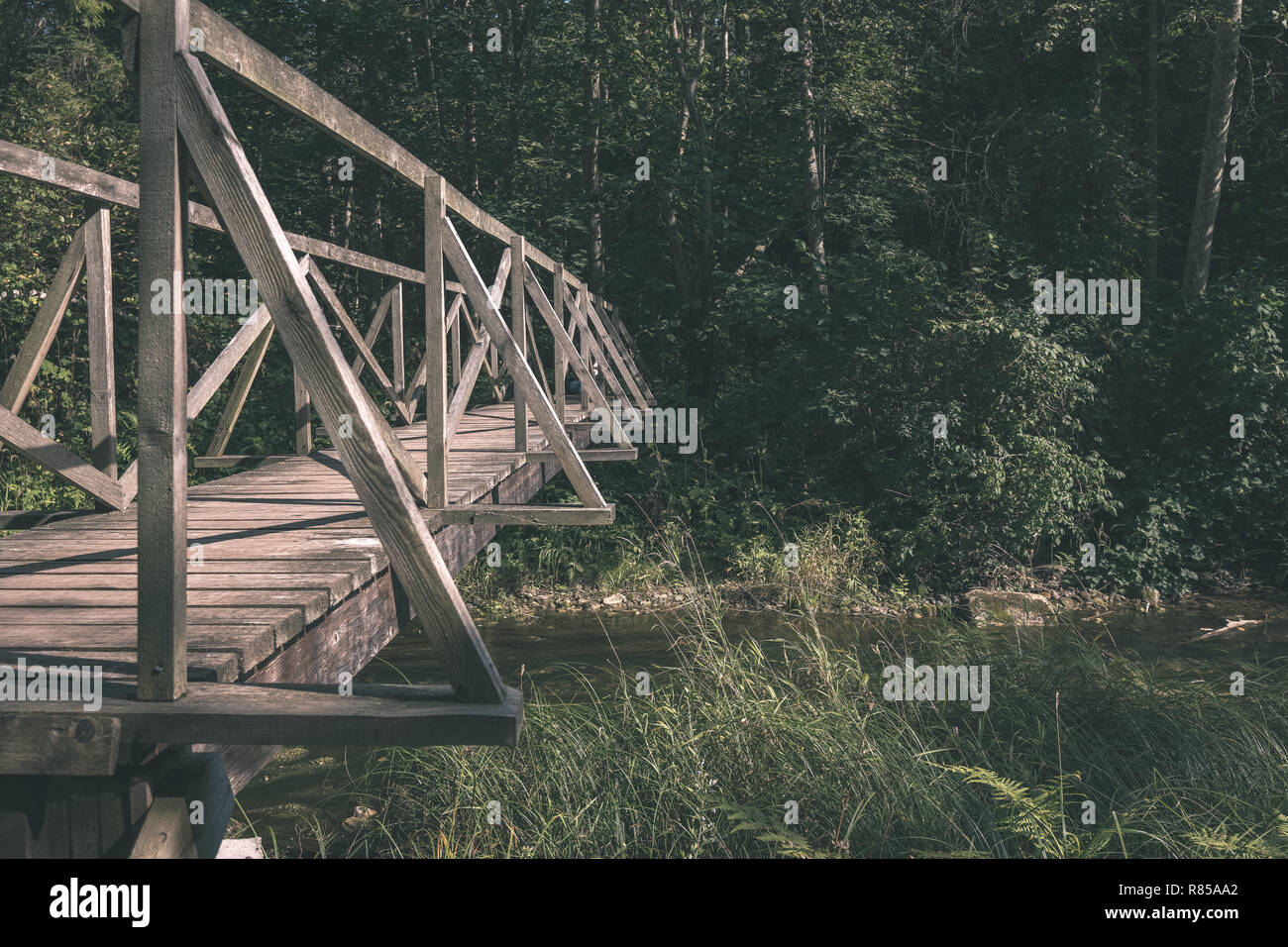 wooden and composite material foot bridge over water in green summer ...