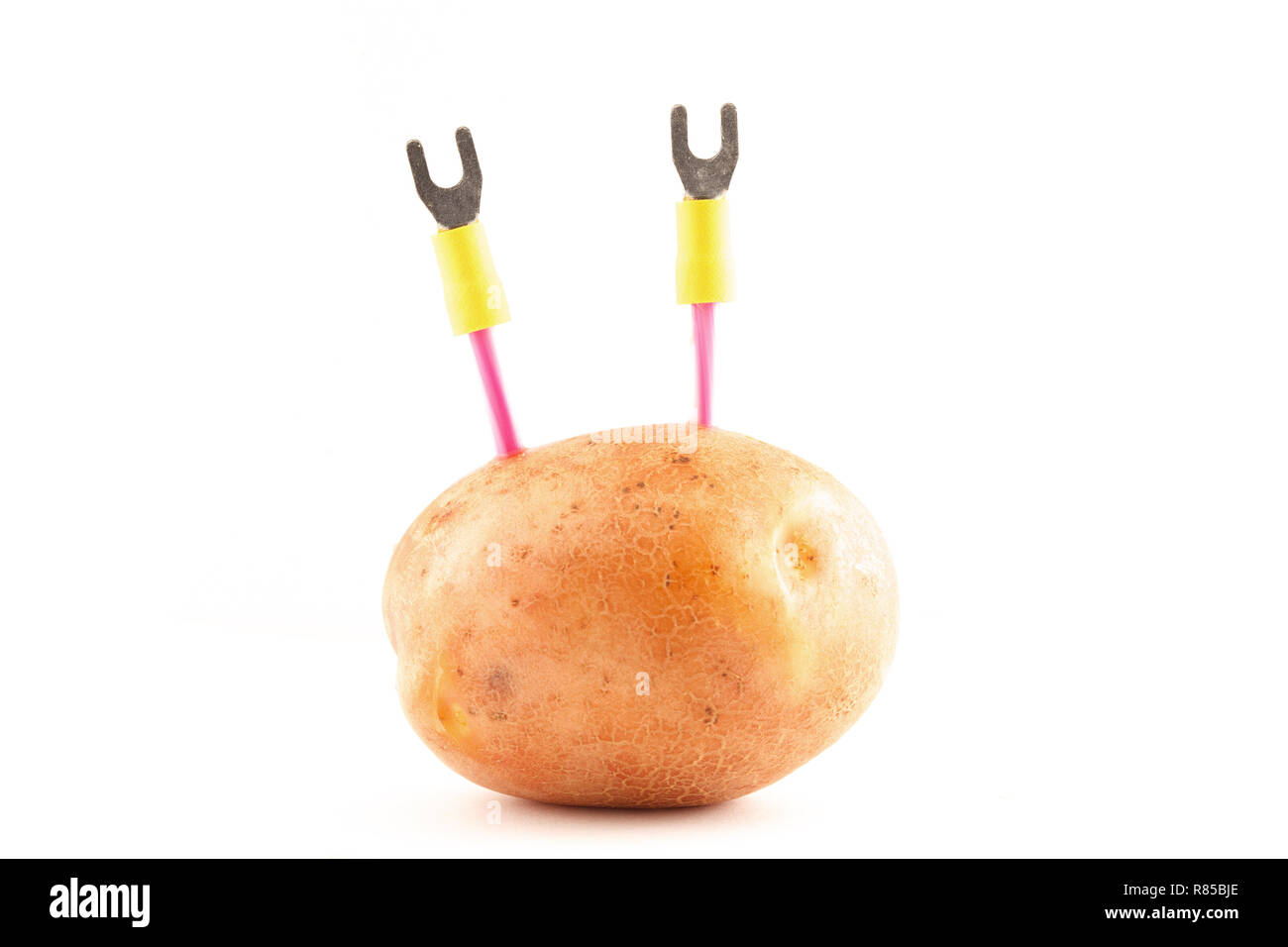 Electrical wires in potatoes Stock Photo - Alamy