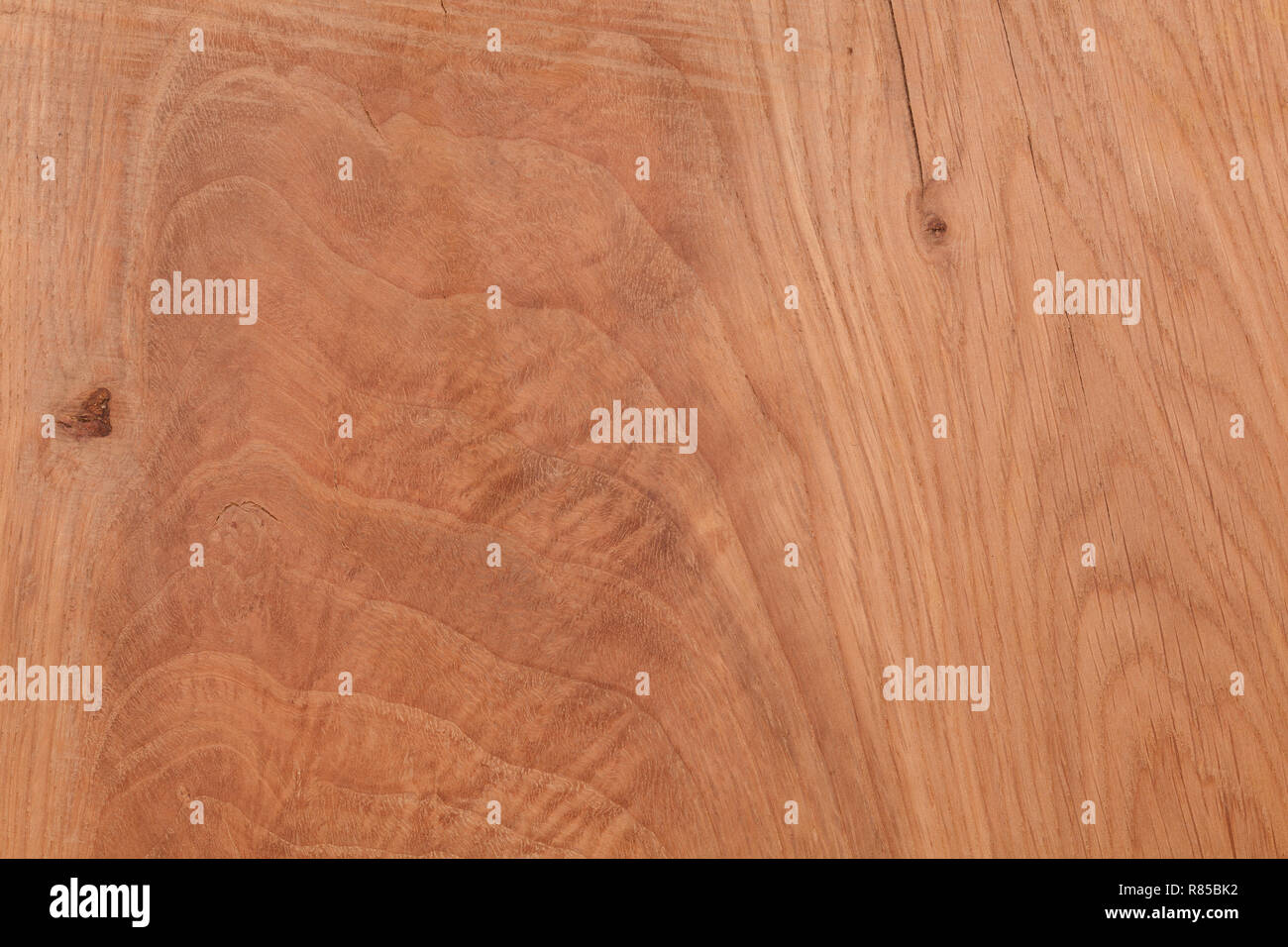 Background cut tree - texture oak planks Stock Photo - Alamy
