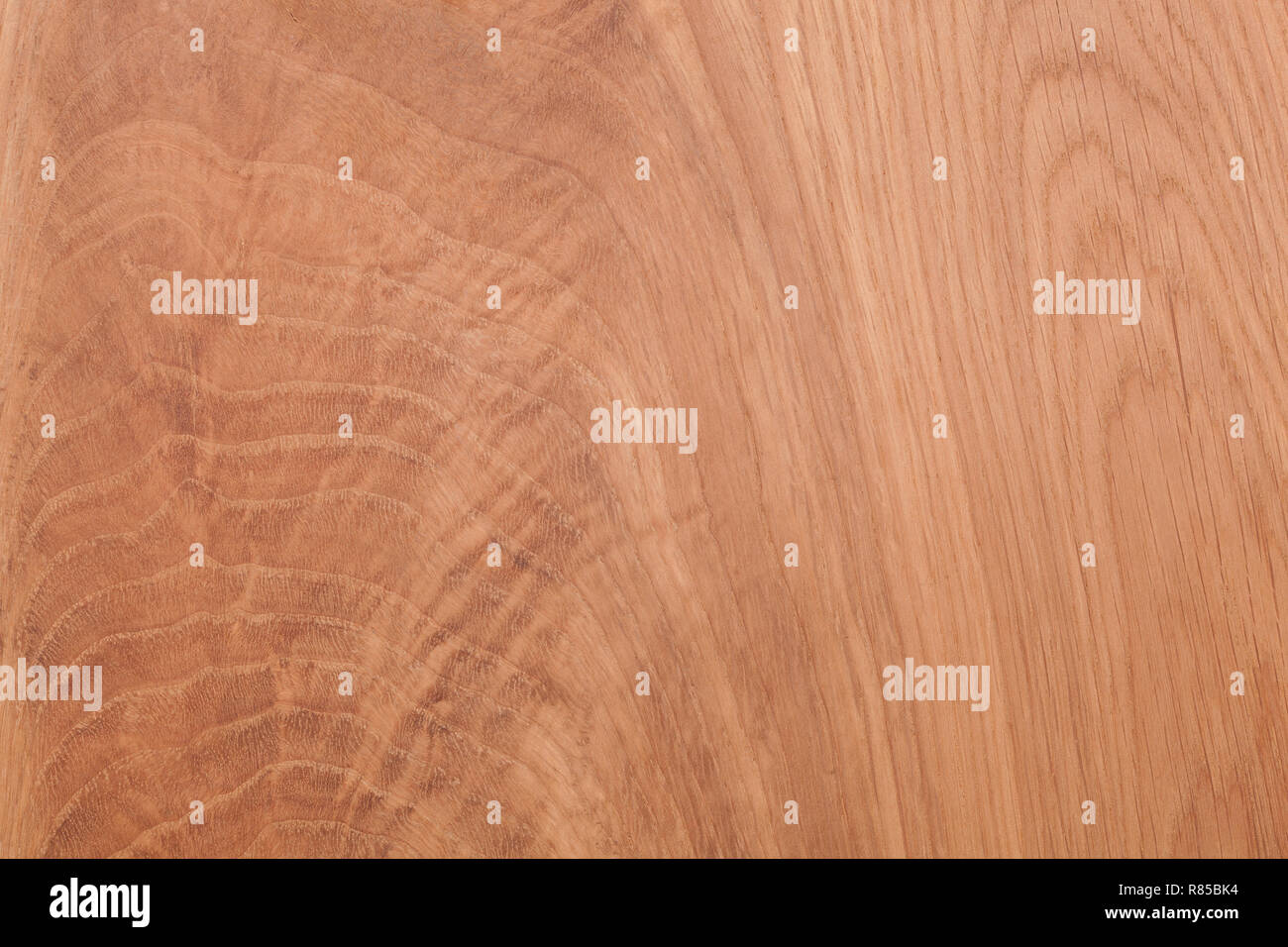 Background cut tree - texture oak planks Stock Photo - Alamy