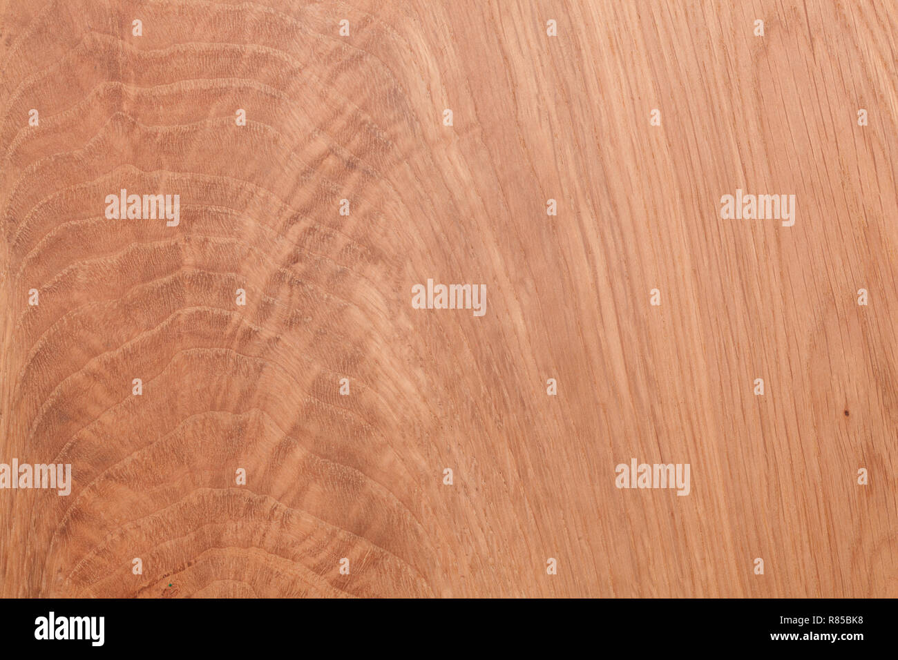 Background cut tree - texture oak planks Stock Photo - Alamy