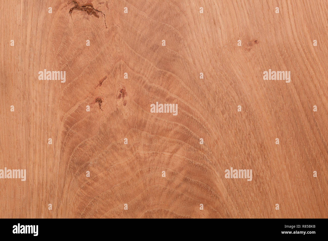 Background cut tree - texture oak planks Stock Photo - Alamy