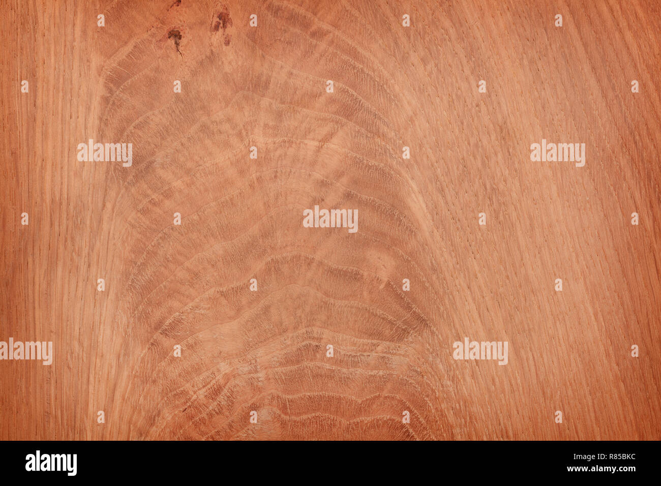 Background cut tree - texture oak planks Stock Photo - Alamy