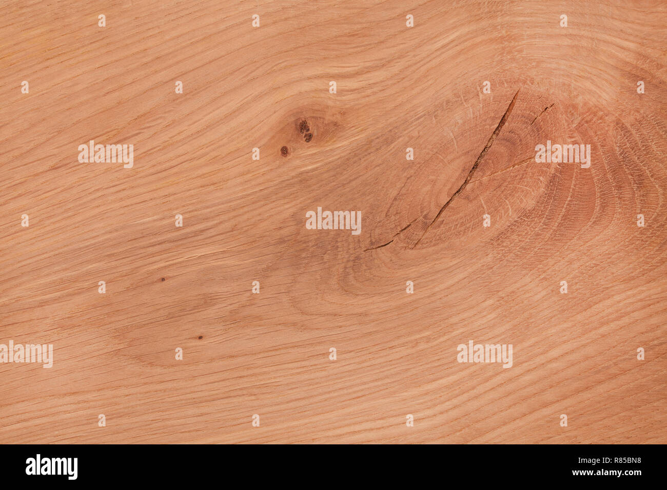Background cut tree - texture oak planks Stock Photo - Alamy