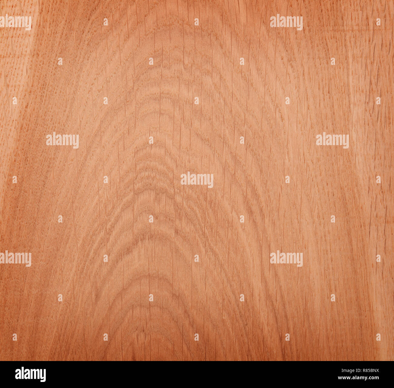 Background cut tree - texture oak planks Stock Photo - Alamy