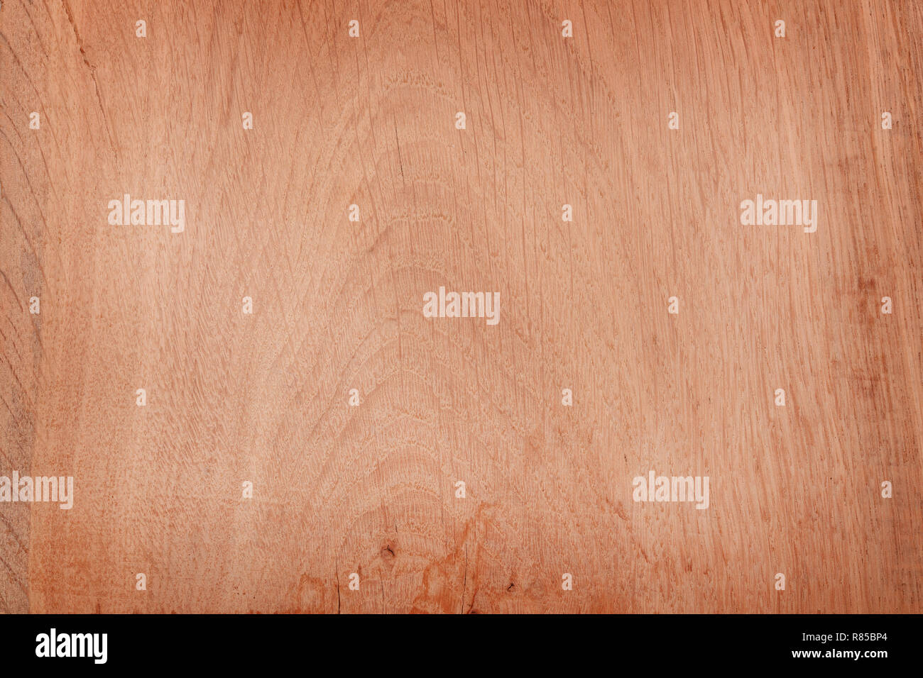 Background cut tree - texture oak planks Stock Photo - Alamy