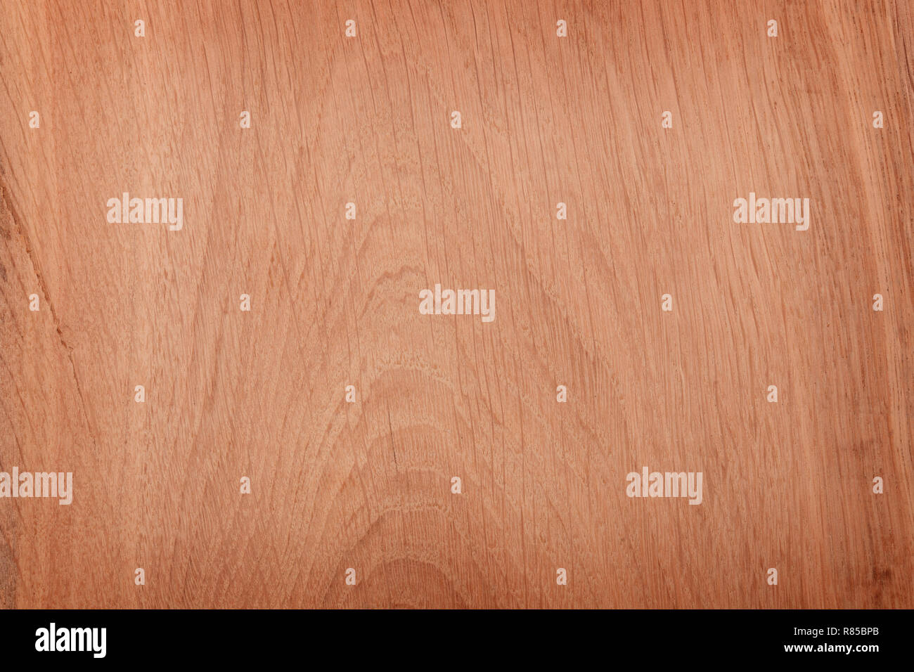 Background cut tree - texture oak planks Stock Photo - Alamy