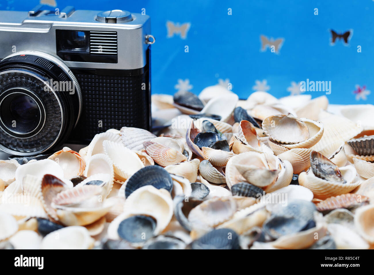 Seashell and camera on the beach - vacation and travel concept Stock ...
