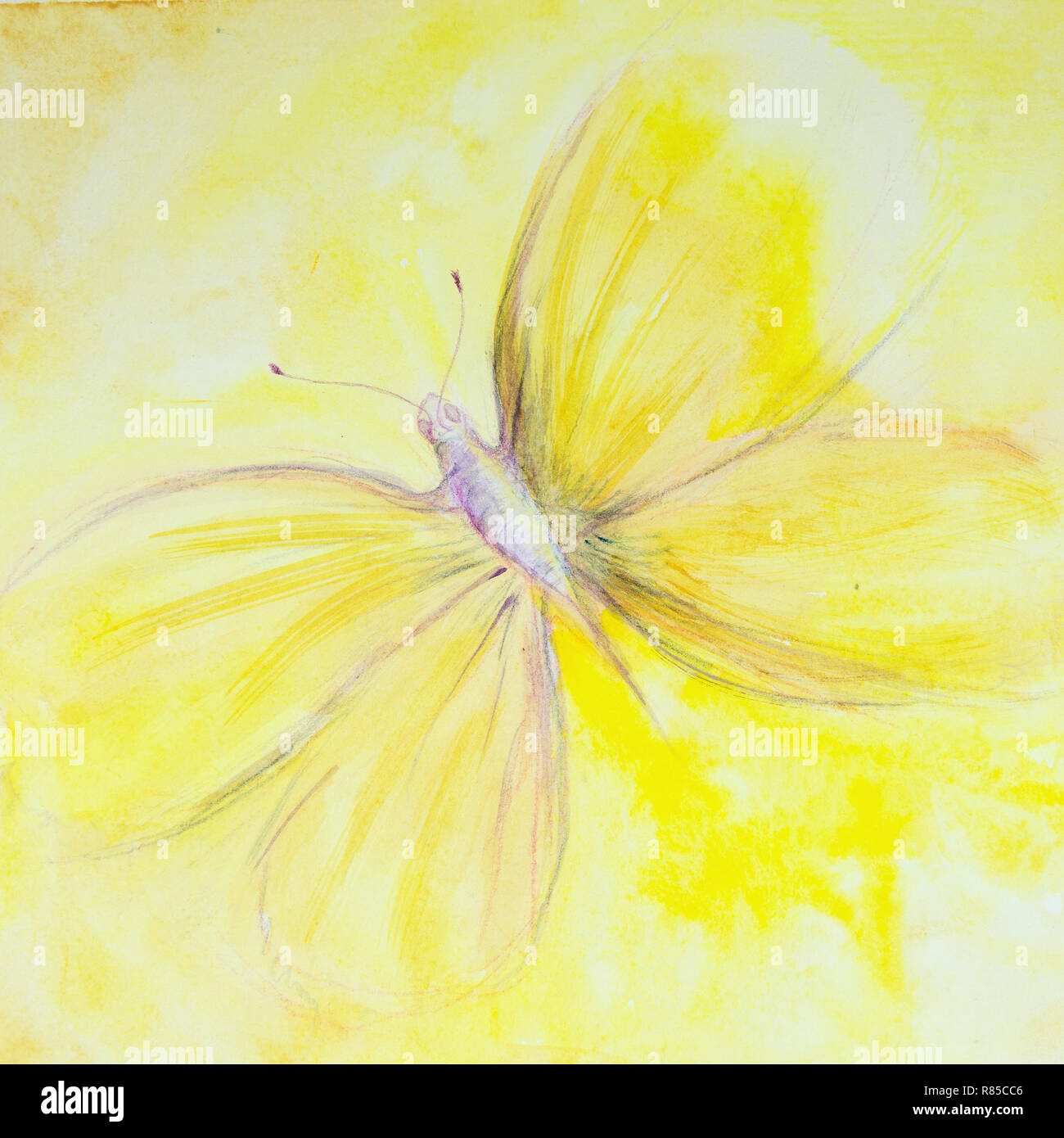 Yellow Butterfly Flying In The Sky