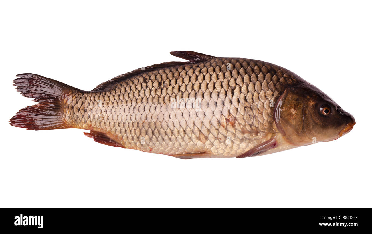 Fresh raw fish isolated on white background Stock Photo - Alamy