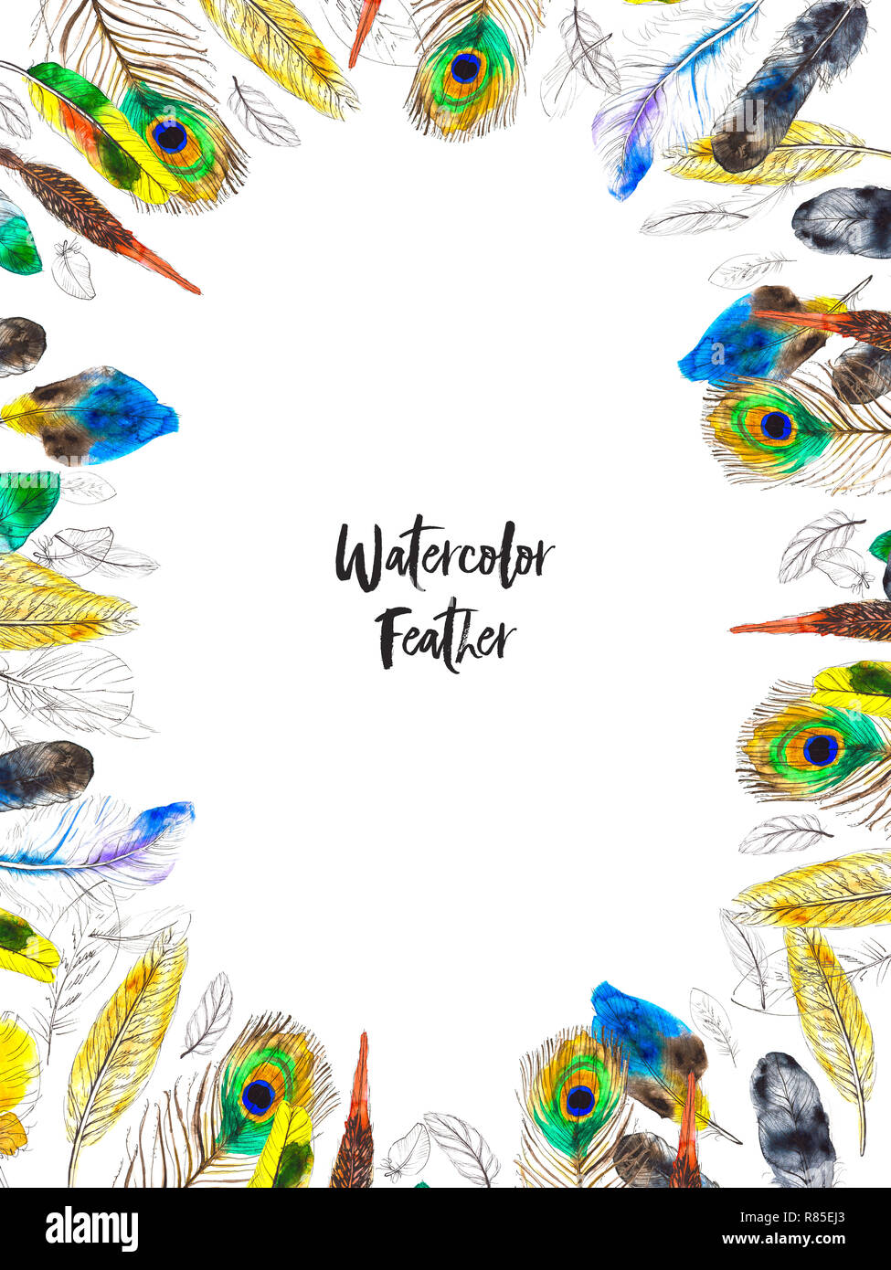 Watercolor frame with colorful feathers on white background Stock Photo ...