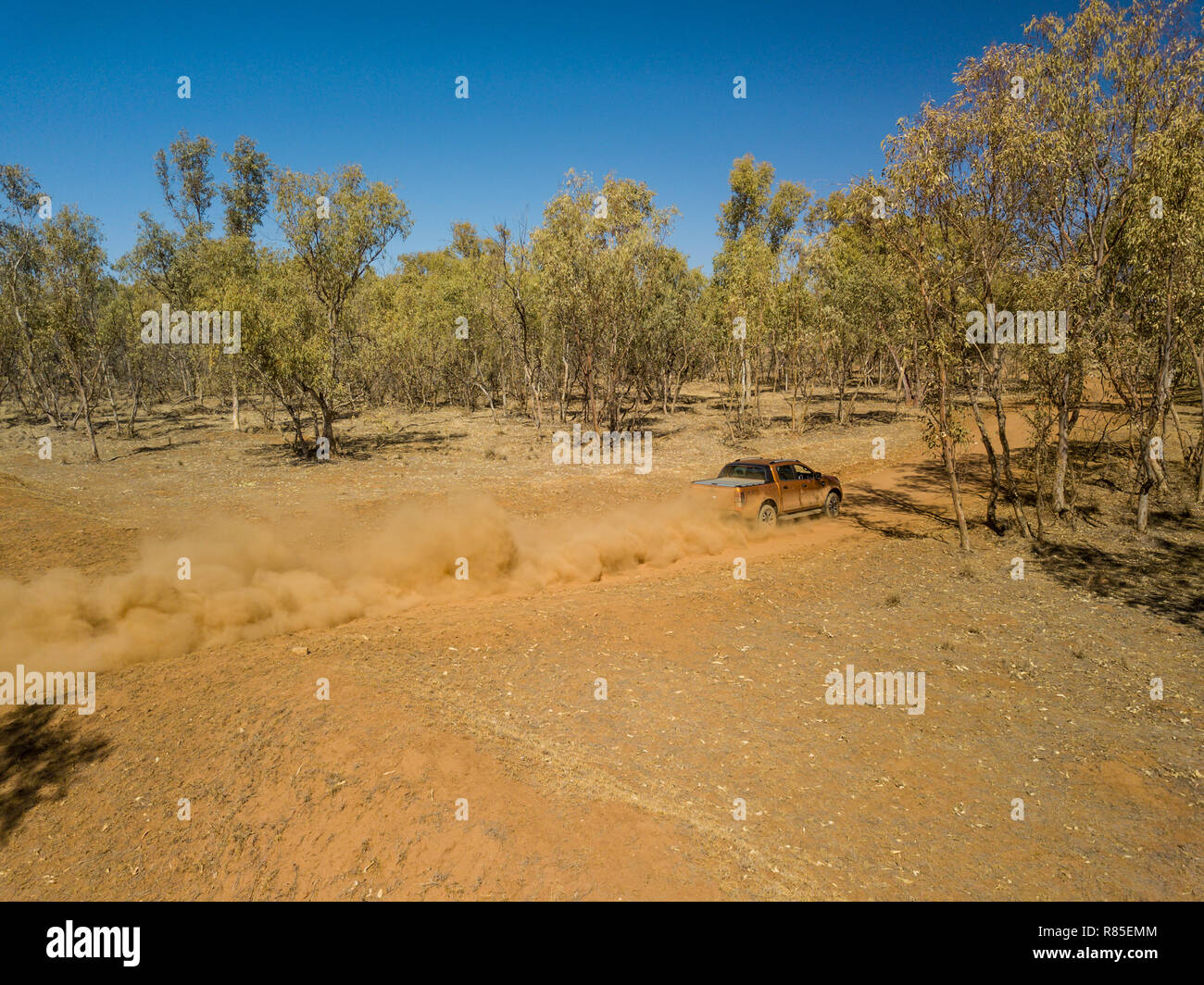 Bull dust hi-res stock photography and images - Alamy