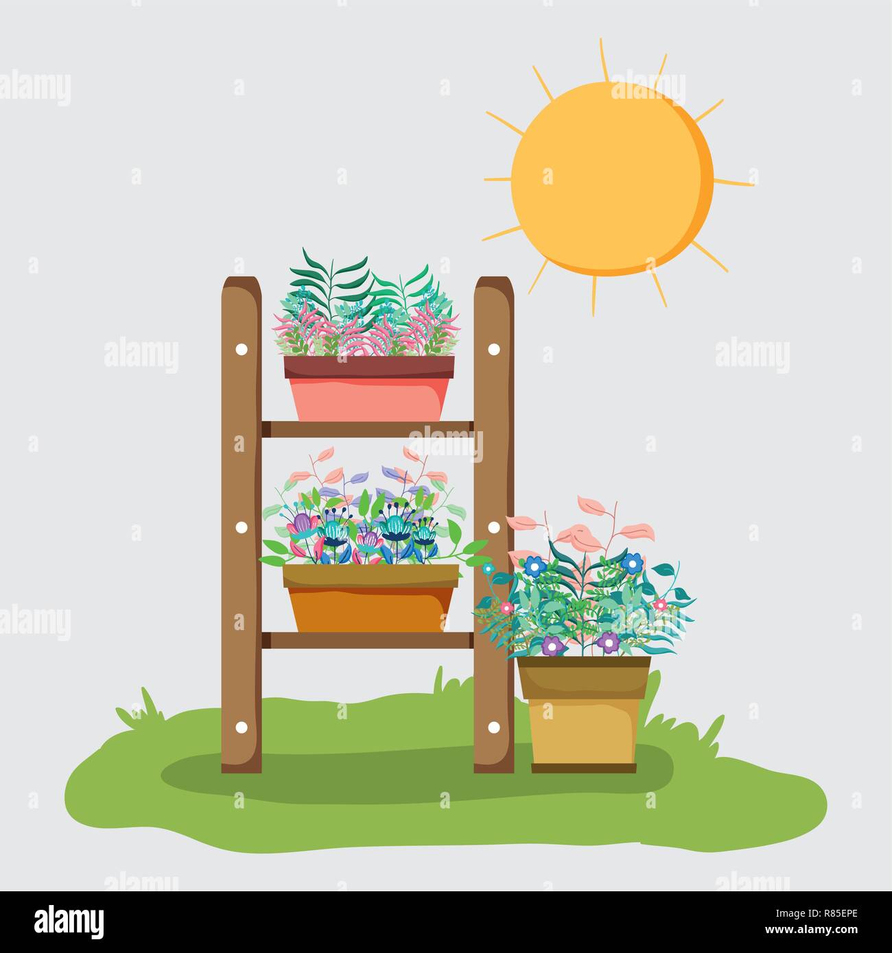 Shelf of plants Stock Vector Images - Alamy