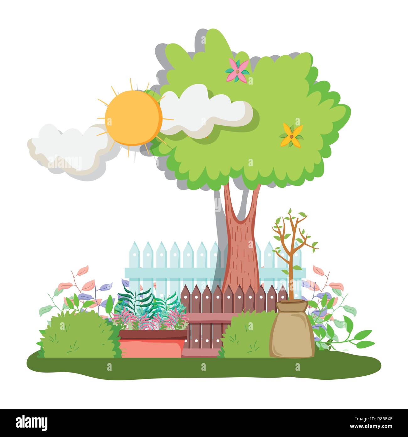Plants trees leaves bush Cut Out Stock Images & Pictures - Alamy