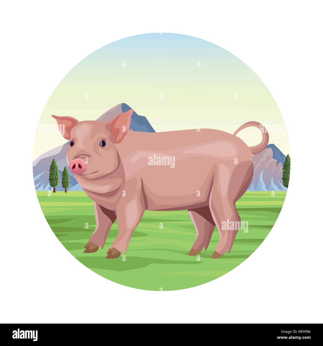 Pig farm animal Stock Vector Image & Art - Alamy