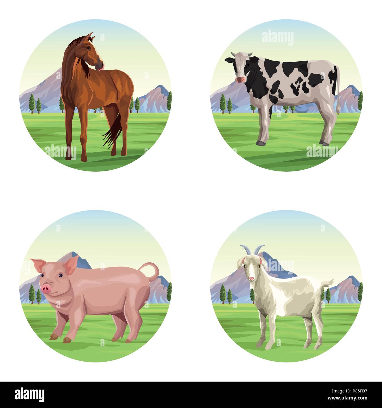 farm animals cartoons Stock Vector Image & Art - Alamy