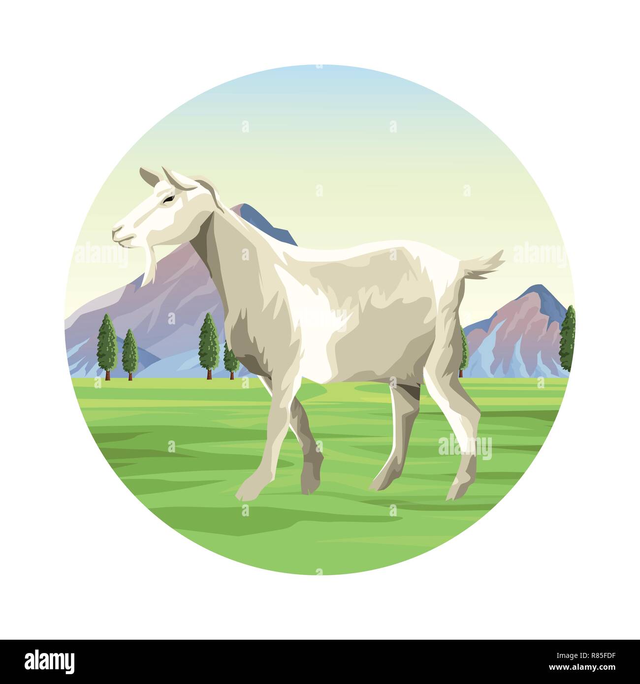 Goat farm animal Stock Vector Image & Art - Alamy