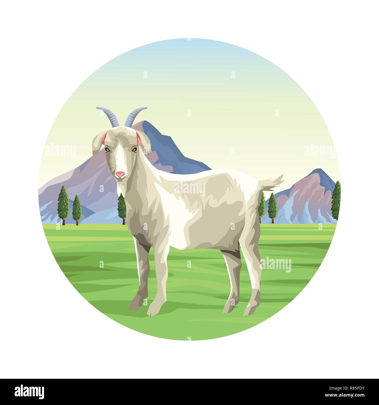 Goat farm animal Stock Vector Image & Art - Alamy