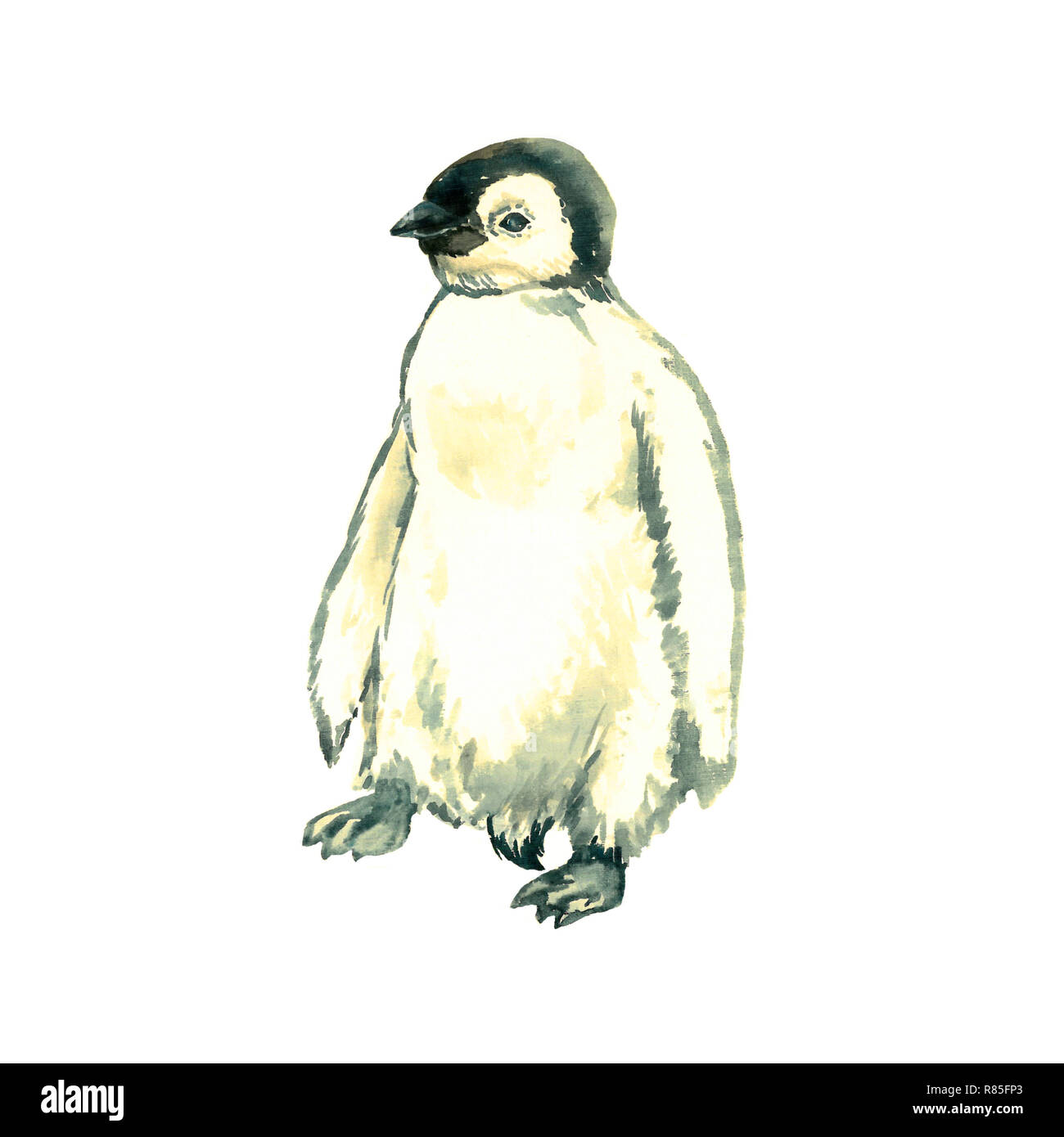 Penguin poult standing, isolated watercolor illustration Stock Photo ...