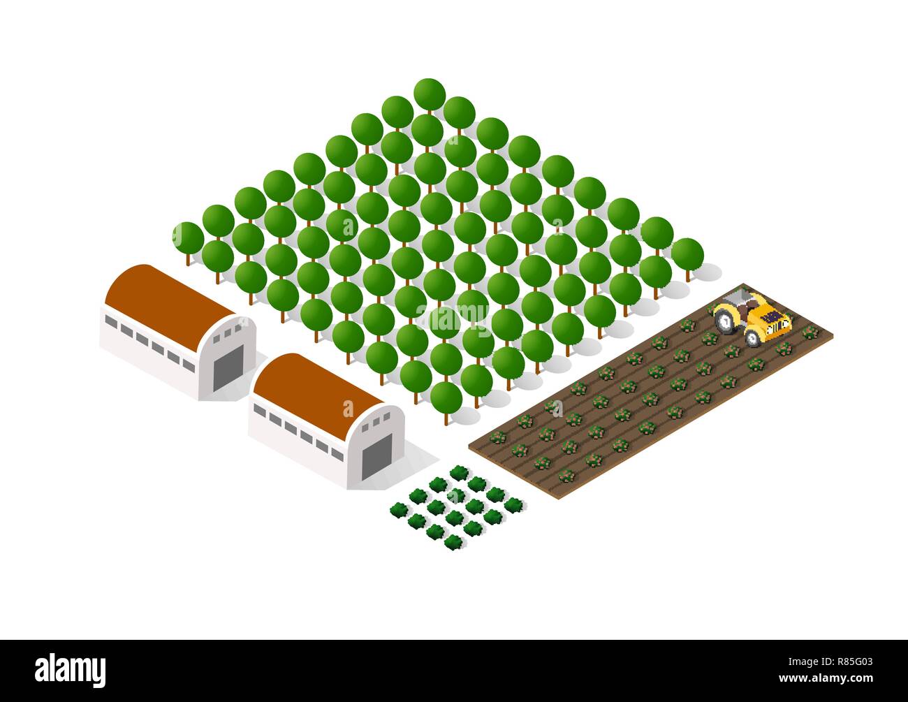 Rural isometric natural ecological farm with the beds and structures ...