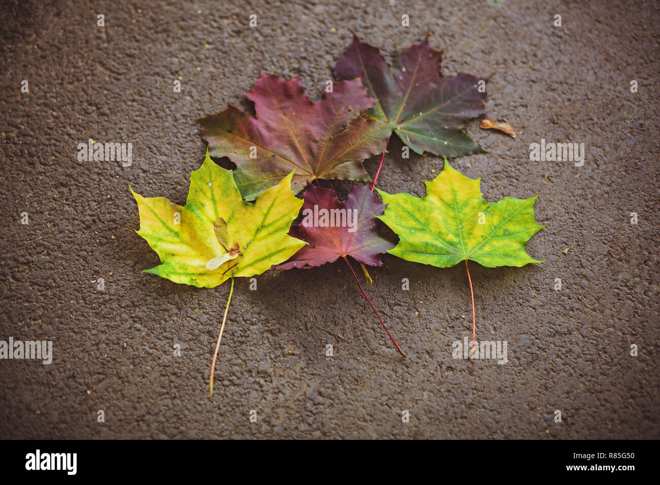 Lays asphalt hi-res stock photography and images - Alamy