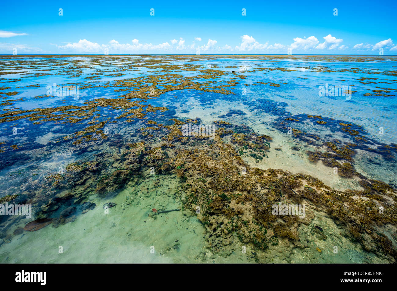 Bright scenic view of rough coral reef exposed at low tide on an empty ...