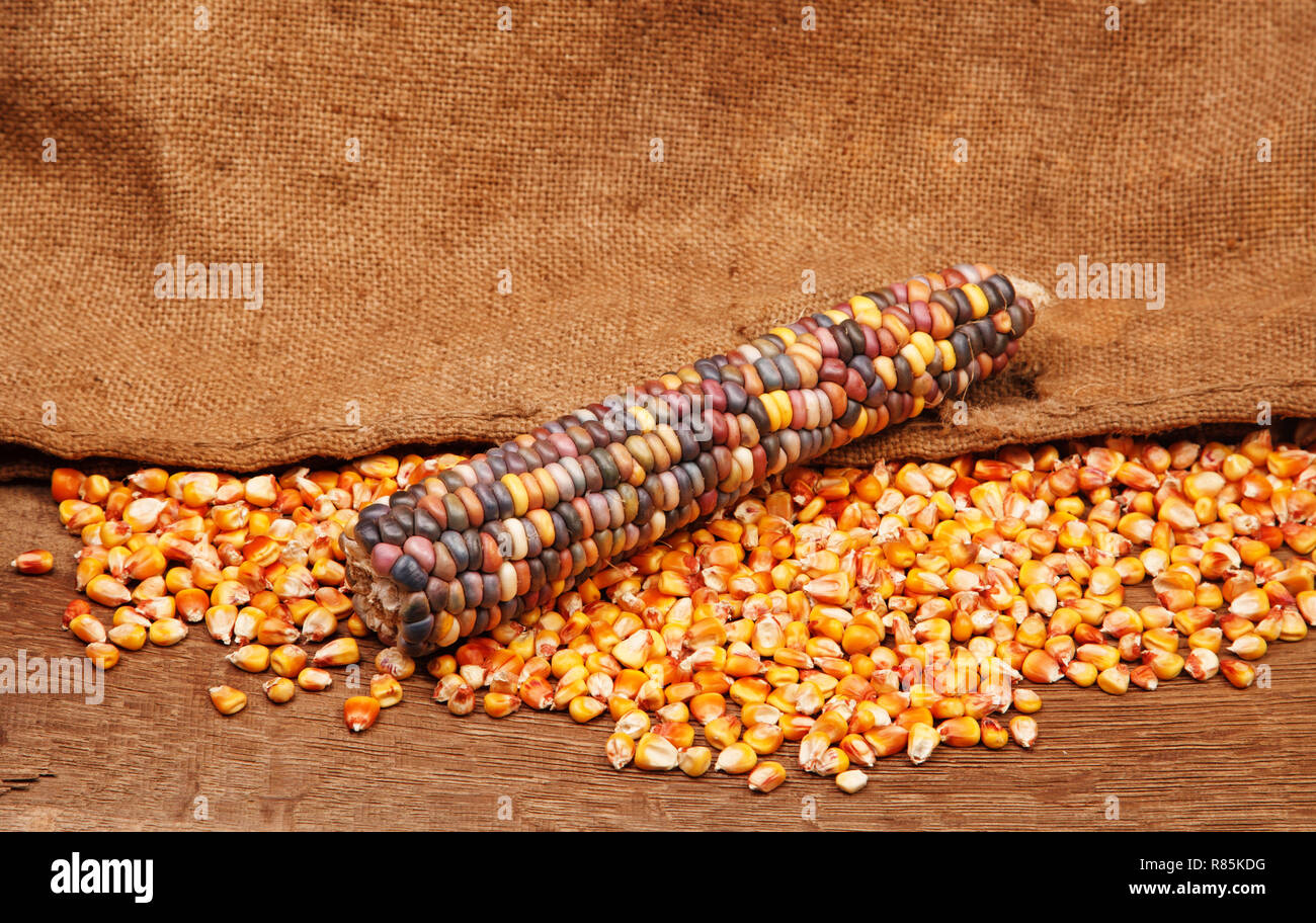 Corn on the background of wooden planks and sacking Stock Photo - Alamy