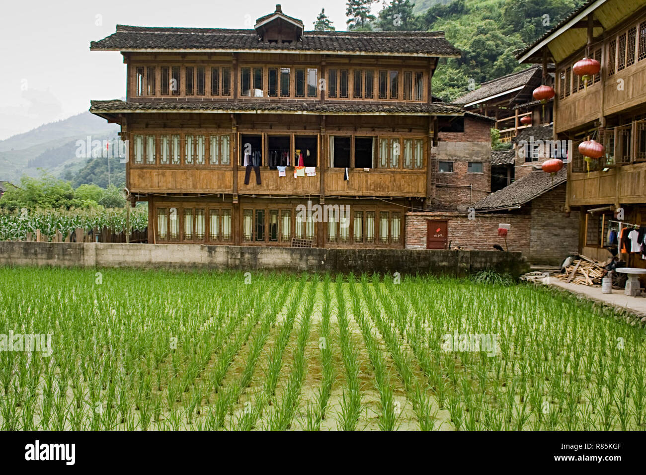 Traditional Wooden houses Village of Red Yao tribe. Longsheng Huangluo ...