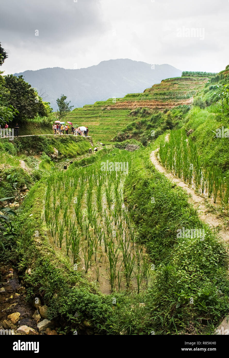 Dragon bone hill hi-res stock photography and images - Alamy
