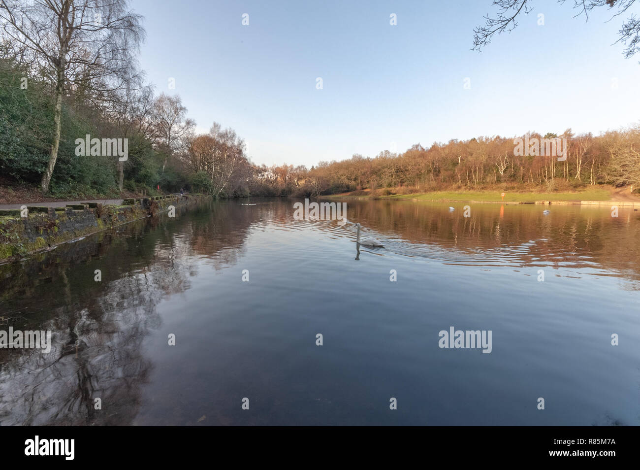 Sutton park keepers pool hi-res stock photography and images - Alamy
