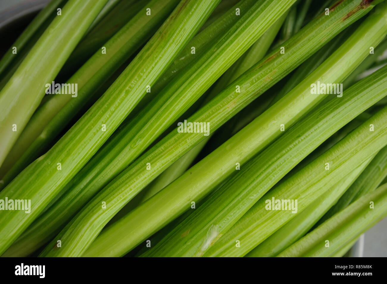 Celeries garden hi-res stock photography and images - Alamy