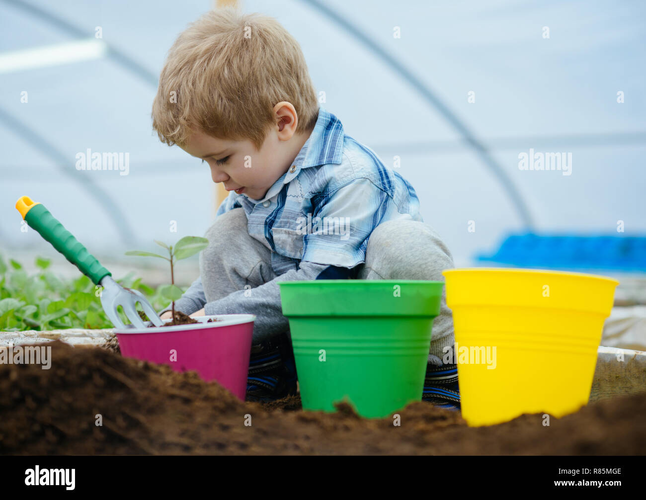 Farm Tools Stock Photos & Farm Tools Stock Images - Alamy