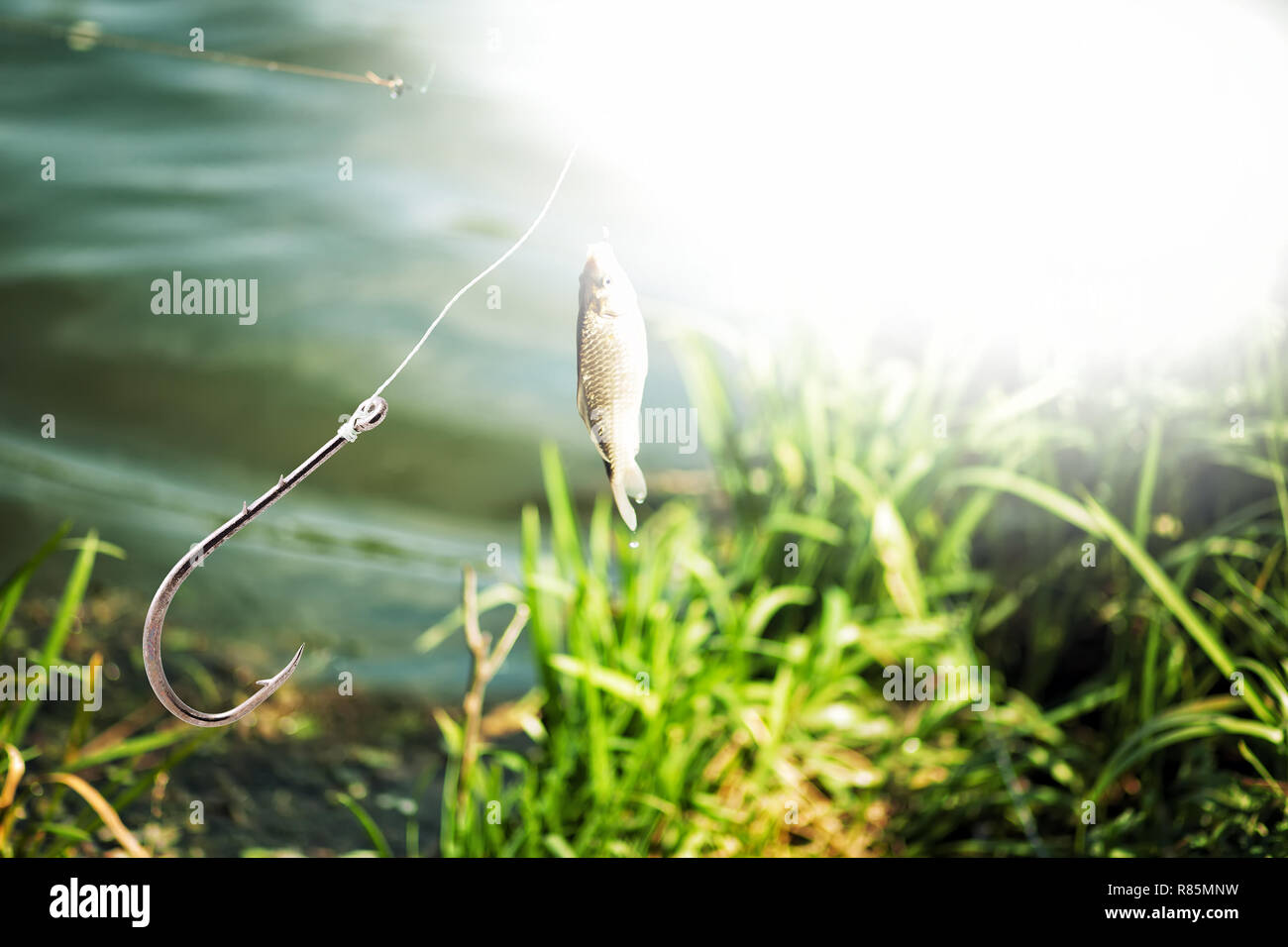 Empty fishing hook water hi-res stock photography and images - Alamy