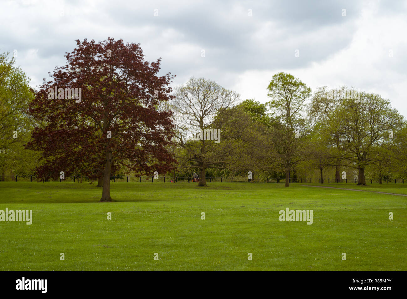Spring in Hyde Park, London UK Stock Photo - Alamy