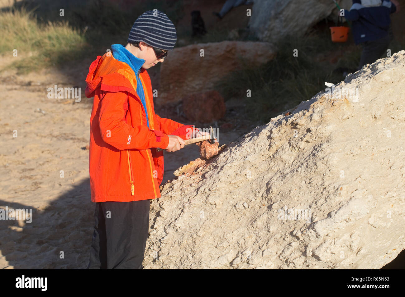 Fossil hunts hi-res stock photography and images - Alamy