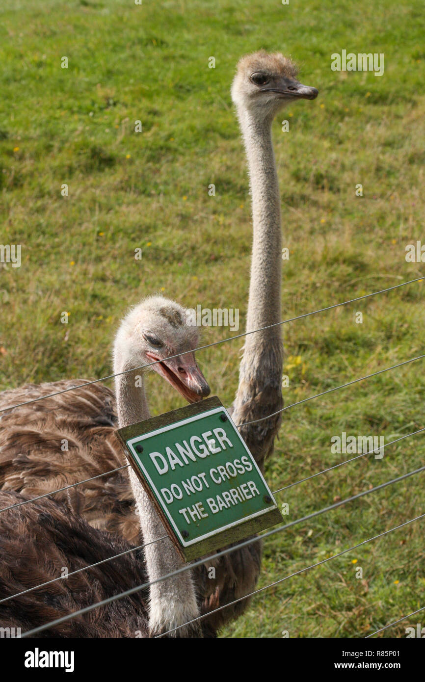 Cross Sign Behind High Resolution Stock Photography and Images - Alamy