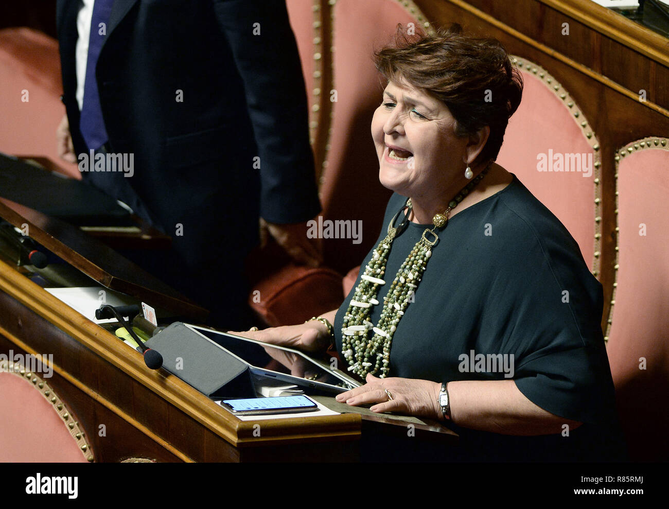 Foto Fabio Cimaglia / LaPresse 13-12-2018 Roma Politica Senato. Voto di ...