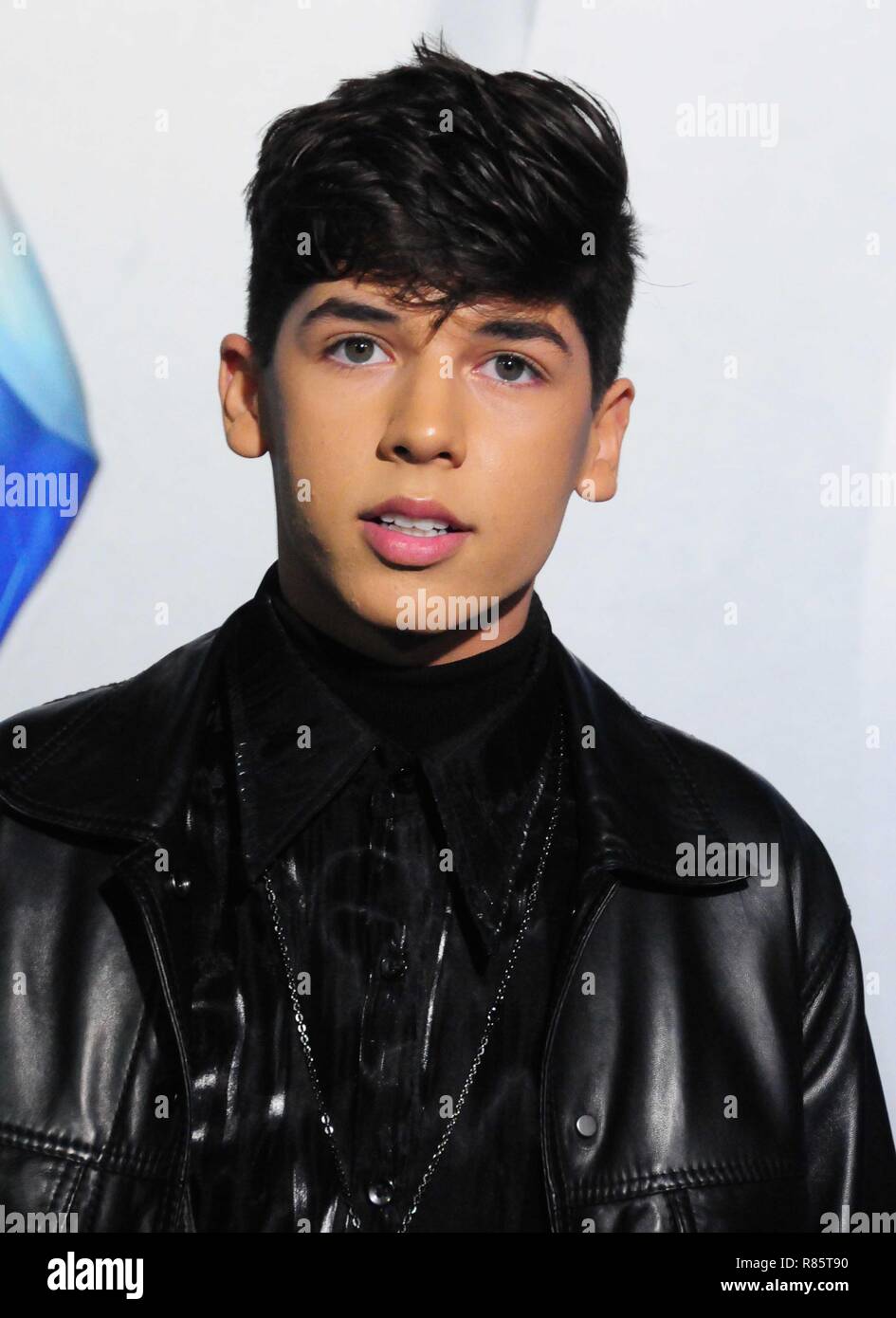 Los Angeles, USA. 12th Dec 2018. Content creator Mario Selman attends ...