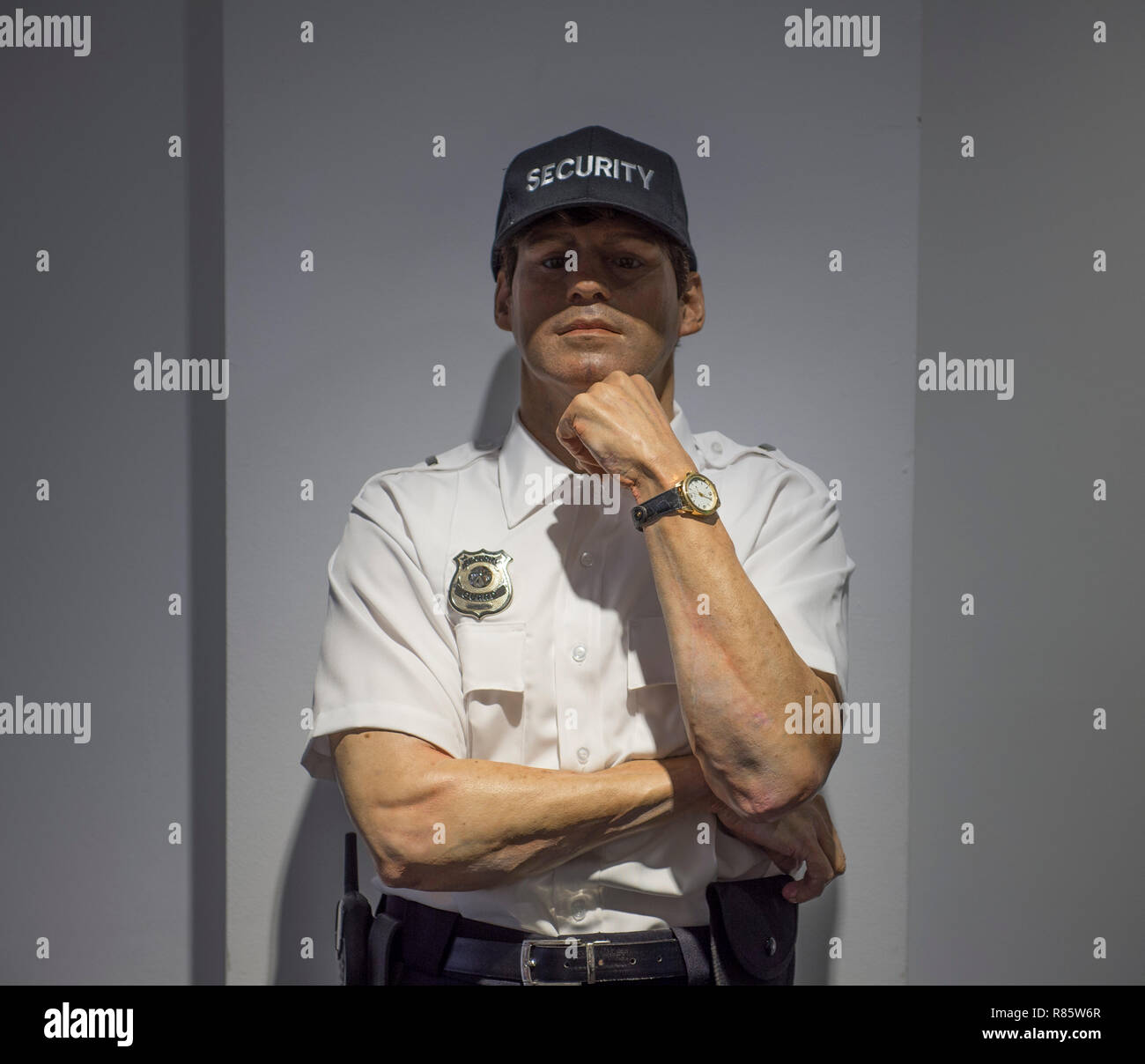 Security guard art gallery hi-res stock photography and images - Alamy